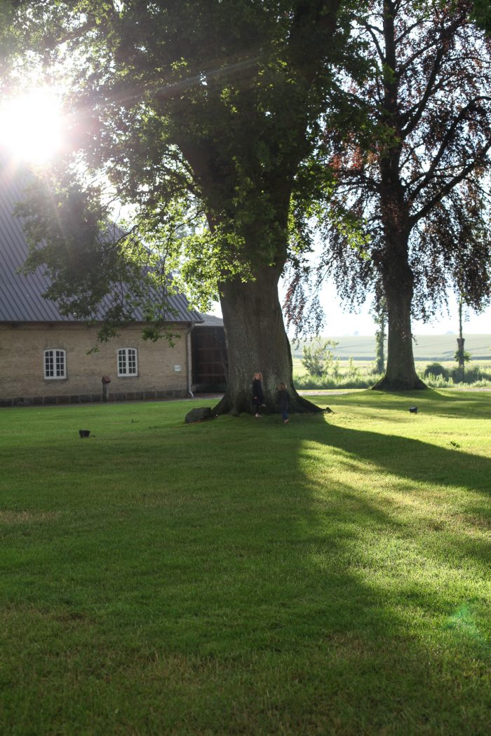 Gut Oestergaard – mit Landreise Ferien auf dem Bauernhof und eine ...