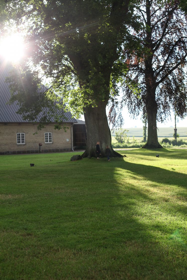Gut Oestergaard – mit Landreise Ferien auf dem Bauernhof und eine ...