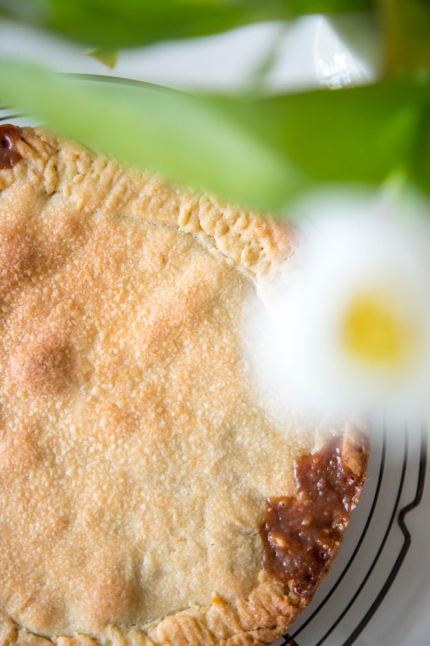 Köstliche Engadiner Nusstorte | tastesheriff